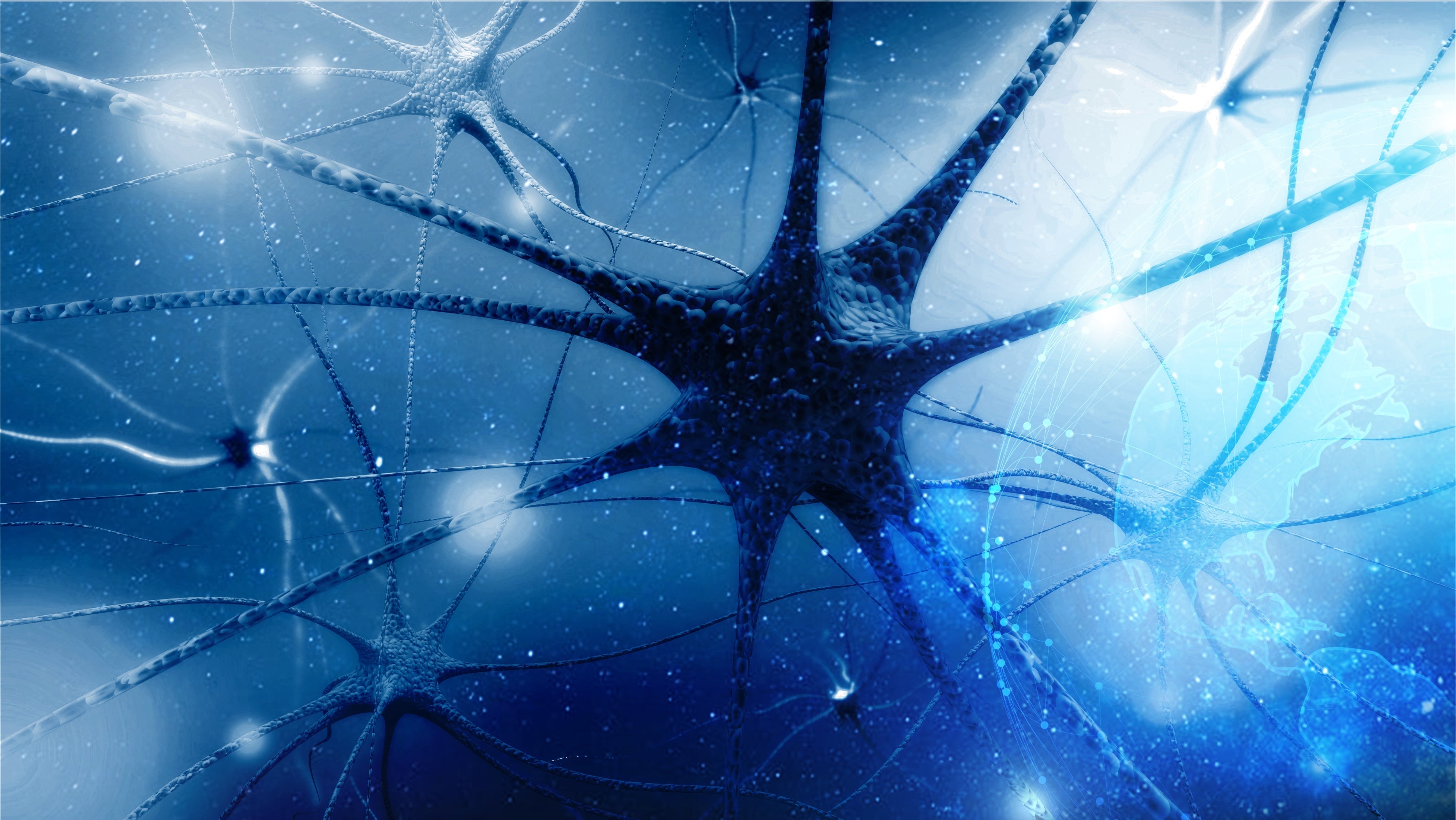 Building a Superbrain How Neurotransmitters Impact Your Cognitive Heal